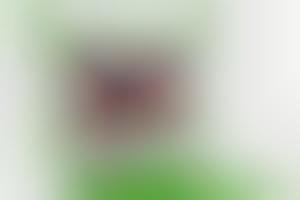 Hand-Cranked Computers : The OLPC XO