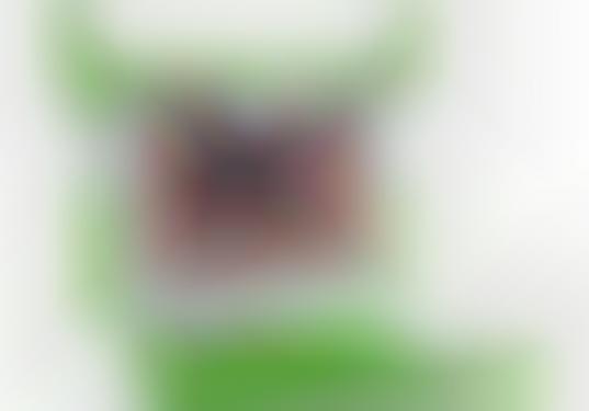 28 Manual Home Appliances