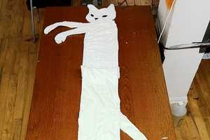 Internet Meme Scarves : Long Cat Scarf