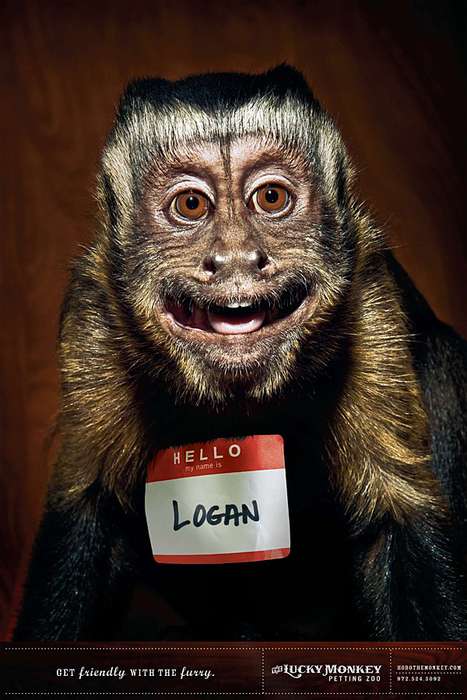 Grinning Woodland Animals : Lucky Monkey By Tom Hussey