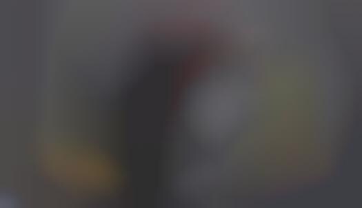 10 Innovative Interactive Storefronts