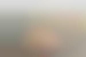 Dreamy Fairytale Shoots : deanne cheuk