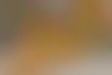 Cavernous Shelving Units : cave-like wooden installation