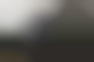 Modernized Old-School Autos : volkswagen rockton 4motion