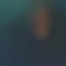 Fantastical Forest Photography : Aleksei Germanski