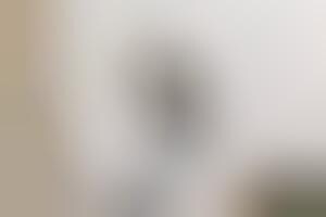 Lonely Athletic Photography : Ramell Ross