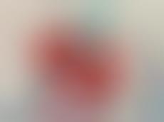 Crocheted Human Organs : crocheted human organs