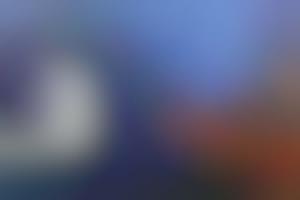 Interactive Window Shopping : Interactive Shop Window Display