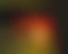 Green Chicken Coops : Kippen House