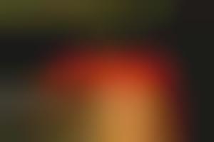 Green Chicken Coops : Kippen House