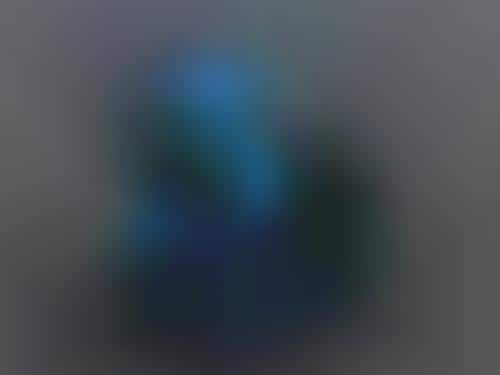 51 Extravagant Children’s Toys