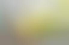 Massive Eco Cities : Green Tech City