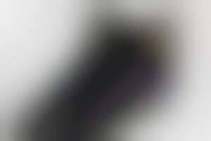 West Coast Rapper Kicks : Adidas Snoop Dogg