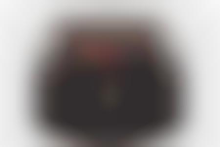 Pagani Zonda F, the World's Most Expensive Roadster: