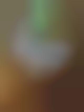 iPOD Concerto Table: