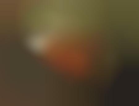 The Bench Toilet: Troy Adams Luxury Loo