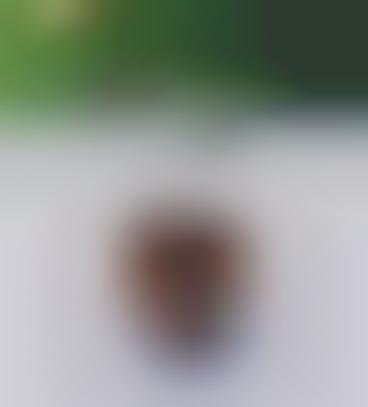 Science-Fusion Cuisine: Molecular Gastronomy at the Fat Duck