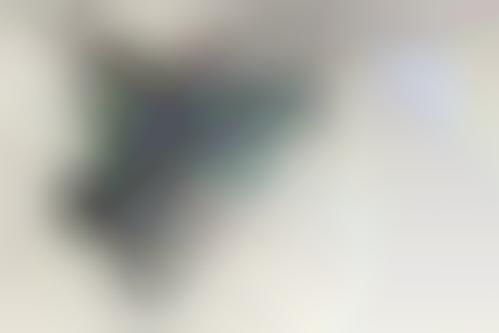 Future Robotic Spycam: The Delfly II