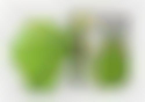 Google Toys : Android Mini Collectible