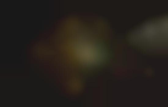 Posh Heist Photography : Erik Almas