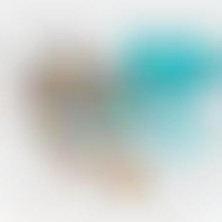 Avian Cupcakes : Fat Bird Cake Making Kit