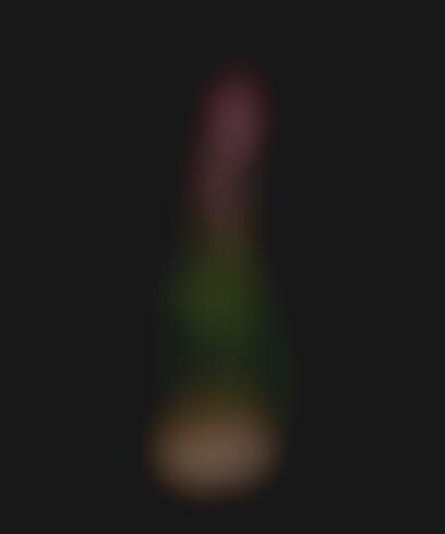 Brilliant Blown Glass : Hans Godo Frabel