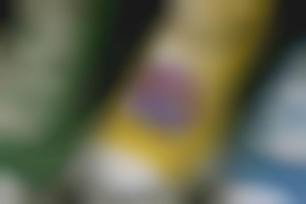 Youth Excercise Incentive Toys : GeoPalz Pedometers