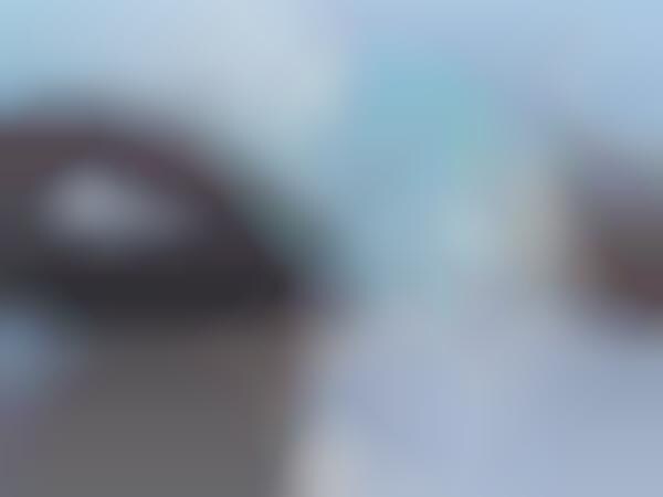 Colossal Ice Castles : Roger Hanson