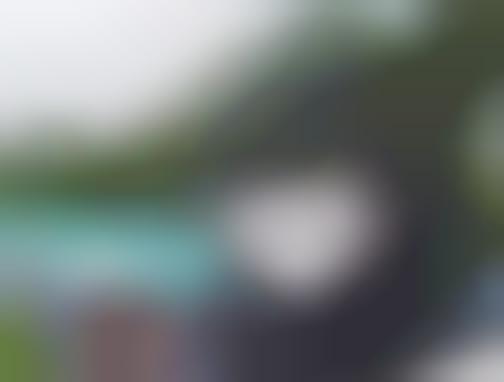 Eco-Friendly Wicker Comfort : Iglu Apple Daybed