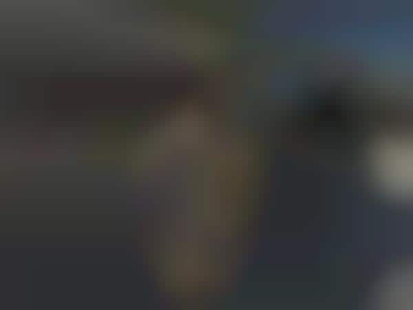 Sun-Powered Soldiers : Solar Soldier System