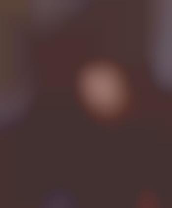 Retro Politician Albums : Vintage Voter