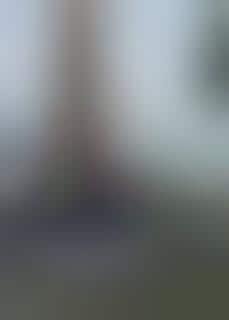 Billboardom: Site Dedicated to Edgy Billboards