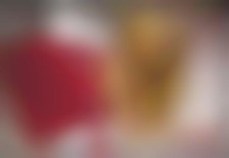 Design Hero: Hayden Panettiere For Dooney & Bourke