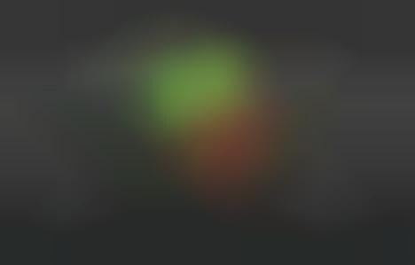 See-Through Cell Phone: WYSIWYG (What You See Is What You Get) Phone