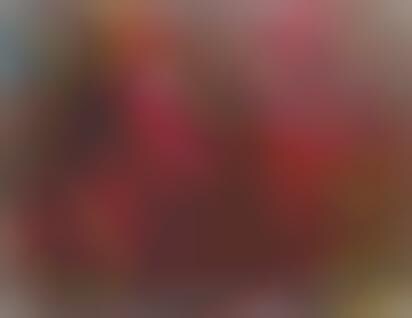 Melting Art Exhibitions : Nicolas Pol