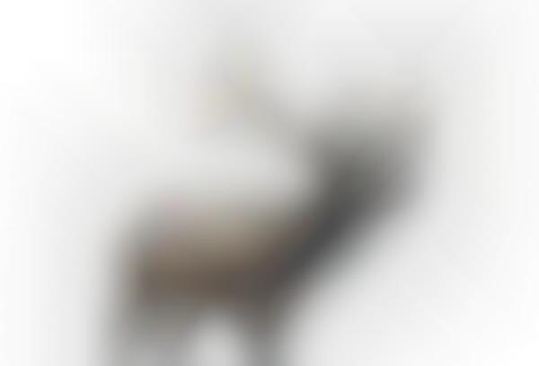 Bubbling Bead Art : Kohei Nawa PixCell