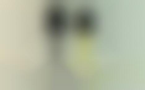 Sculptural Wiry Lighting : Darwin Lamp