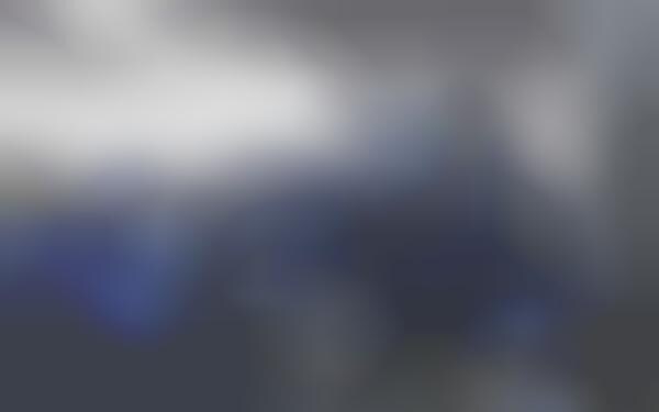 Tangled High-Traffic Viaducts : Living Bridge