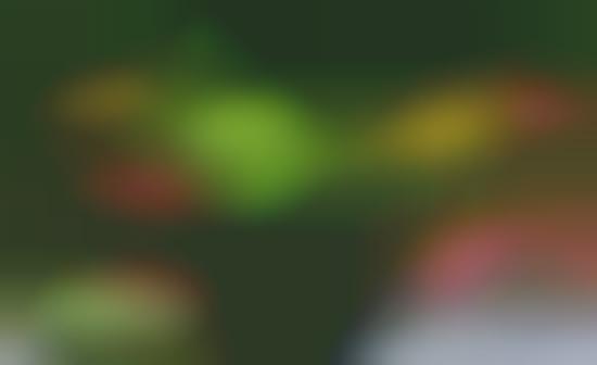 Genetically Engineered Pets: Fluorescent GloFish