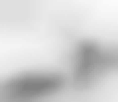 Insect-Inspired Cameras : Butter-Fly Camera