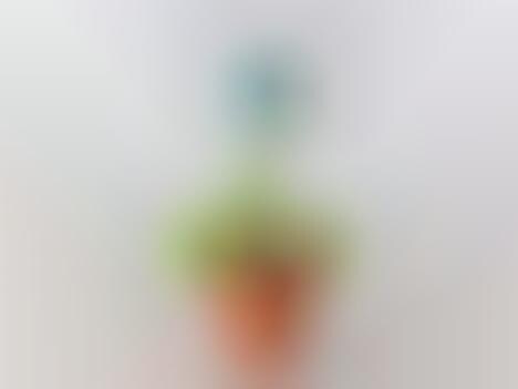 Extraterrestrial Plants : One Eye Alien Plant