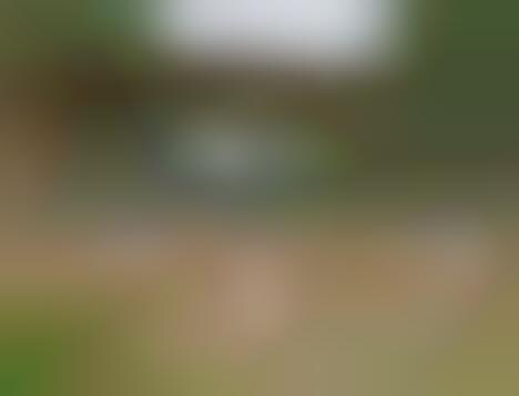 Summer Camp Athletic Facilities : Milson Island Sports Stadium