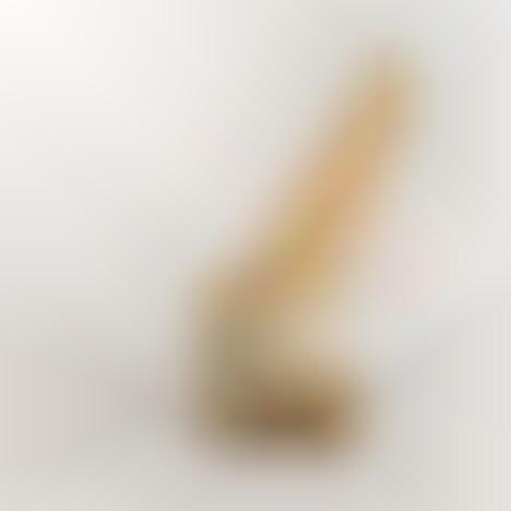 Artistic Defecation Depictions : Dirty Rotten Peaches