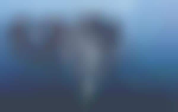 Urban Decay Illustrations (UPDATE) : Artist Alex Lukas