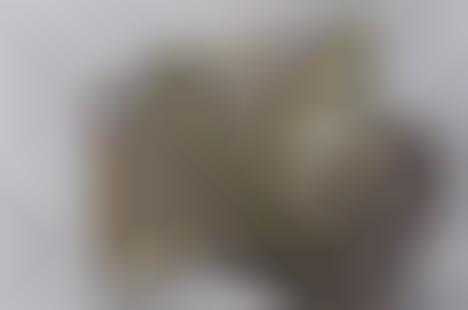 Paper Cameras : Jennifer Collier