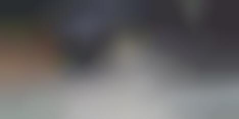 Mirthfully Menacing Felines : Snookums Cat Food