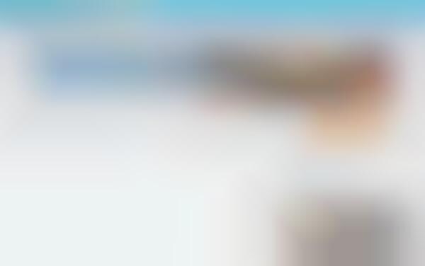 Real-Life Social Media Mayors : Mayor Bob Buckhorn