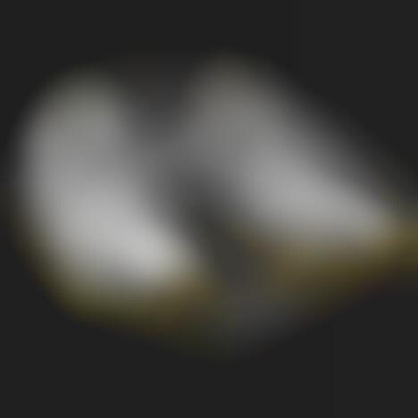 Courtside Futuristic Footwear : APL Concept 2