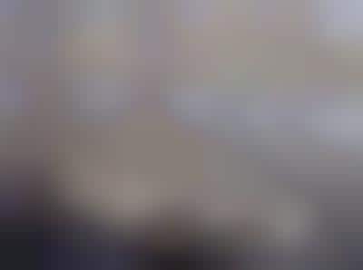 Cheese Made of Breast Milk: Human Cheese