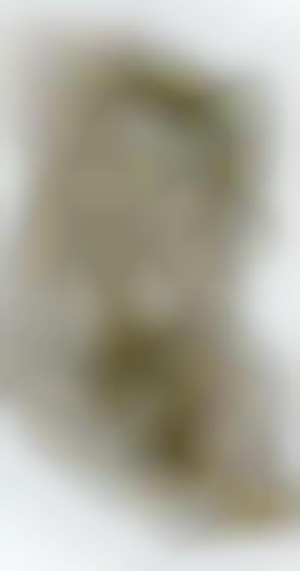 Charred Periodical Portraiture : Nolan Lee